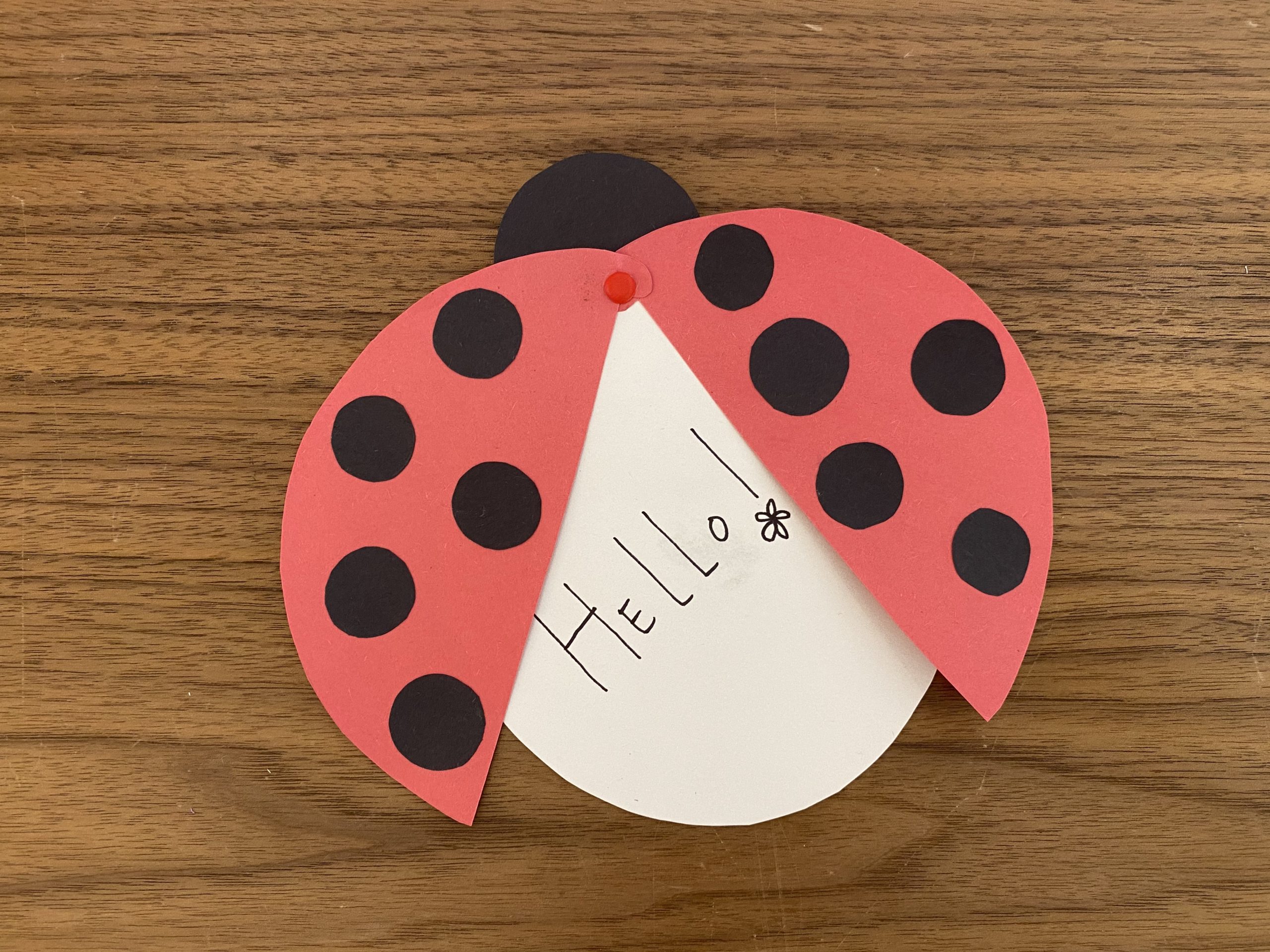 Swivel Cards | Ann Arbor Art Center