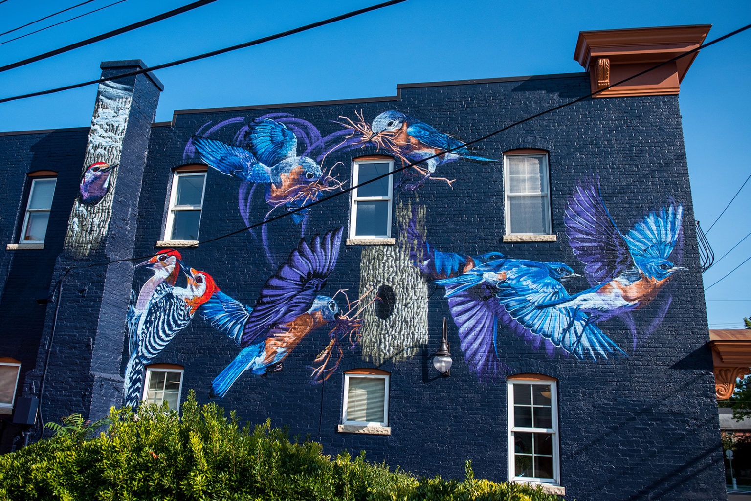 Jacob Dwyer Mural | A2AC Murals | Ann Arbor Public Art | A2AC