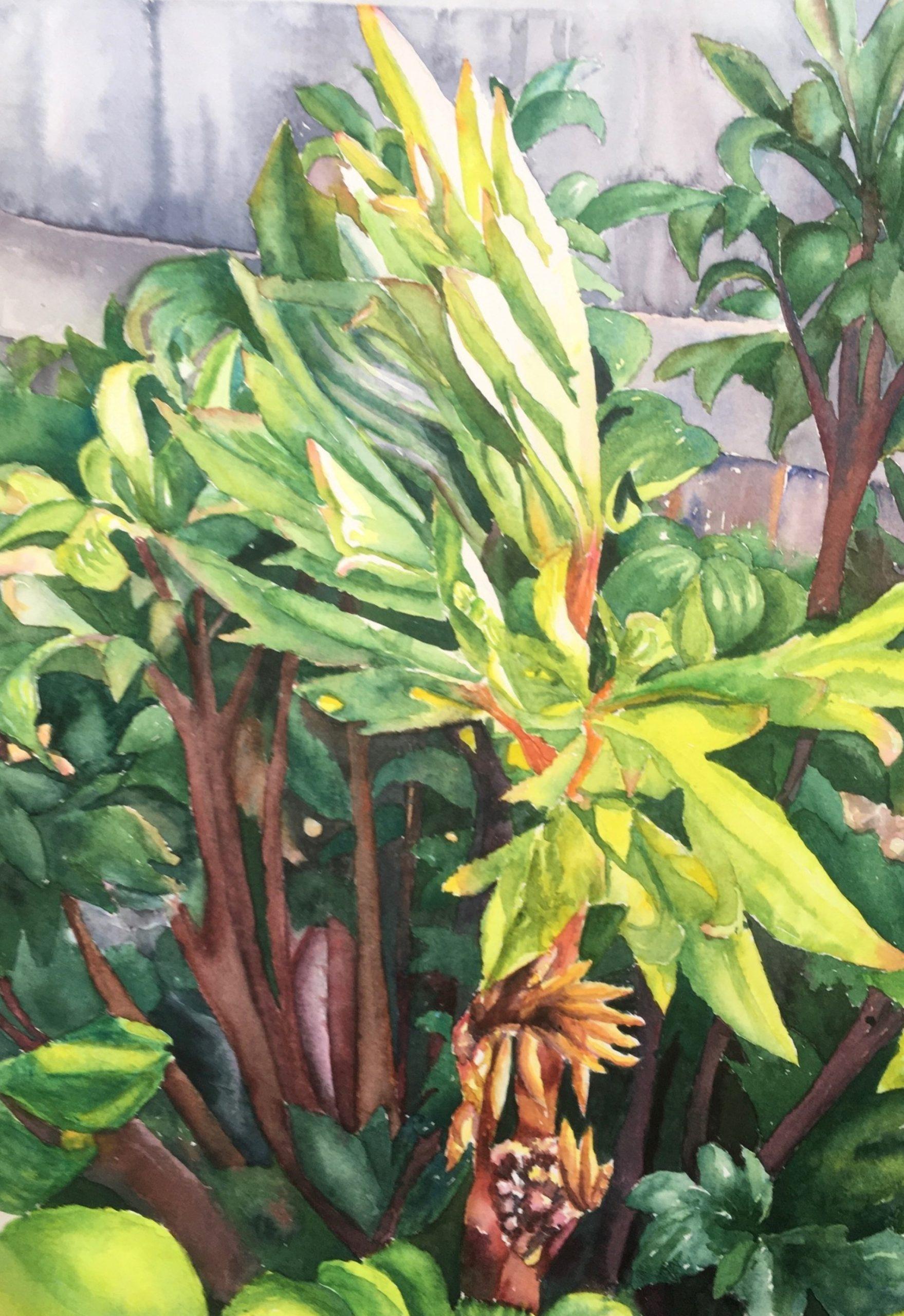 Susan Mankowski | A2AC